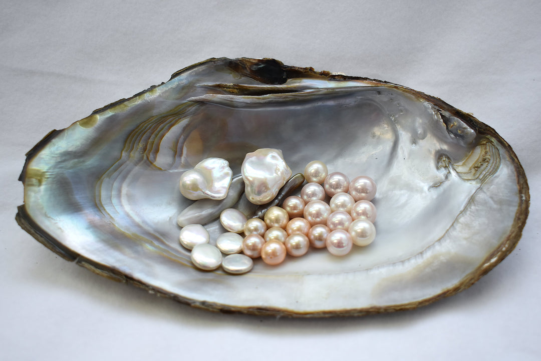 Pearl University – Pearlish